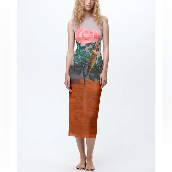 Zara | Dresses | Zara X Rene Magritte Tulle Dress Nwt | Poshmark